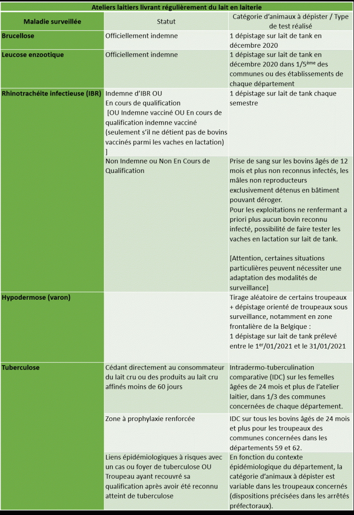 Prophylaxie bovine collective : en avant pour une nouvelle campagne ...